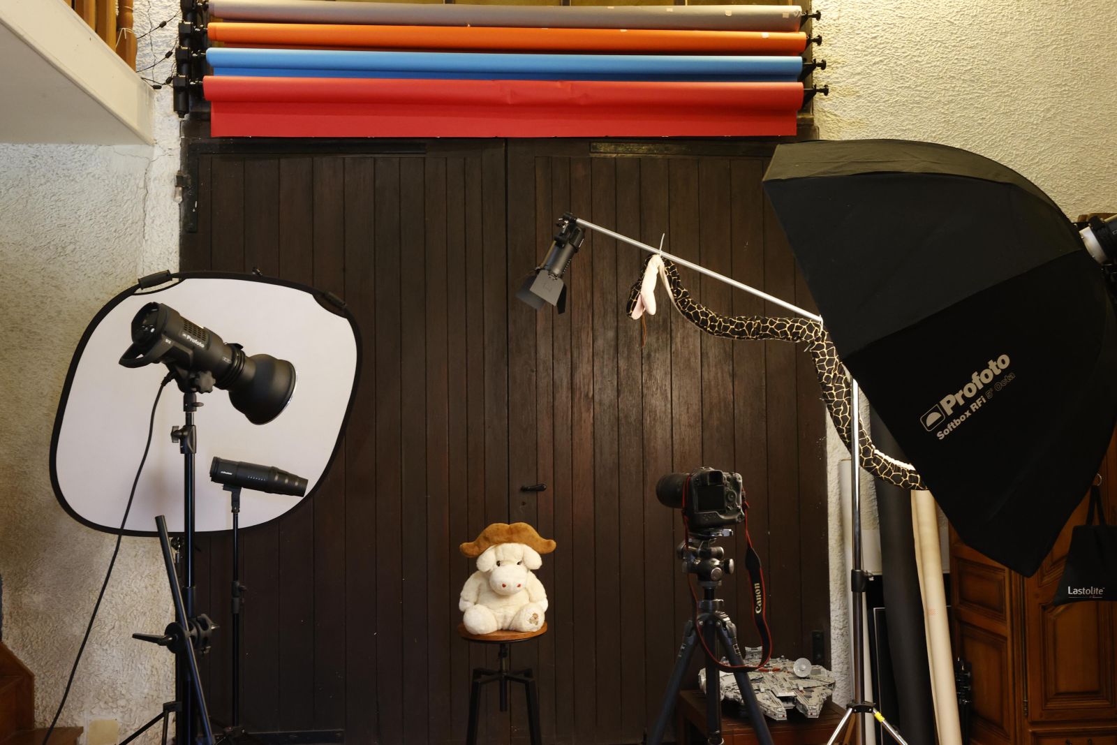 STUDIO professionnel pour portrait, shooting, packshot